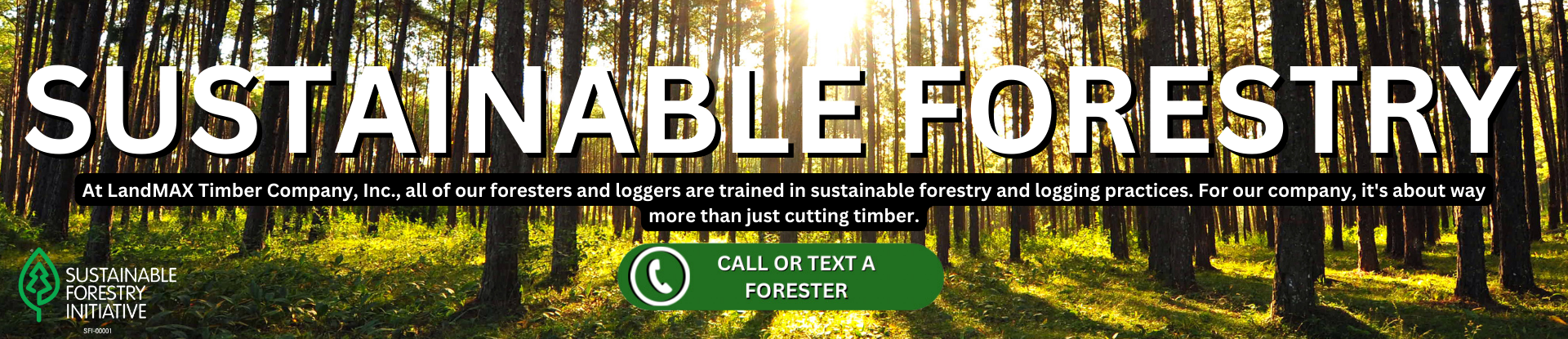 LandMAX TIMBER Mississippi | LandMAX